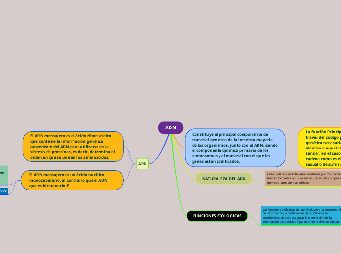 ADN-ARN - Mind Map